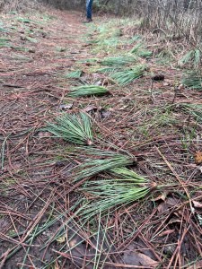 Permission to Be Happy | Bits of Poetry